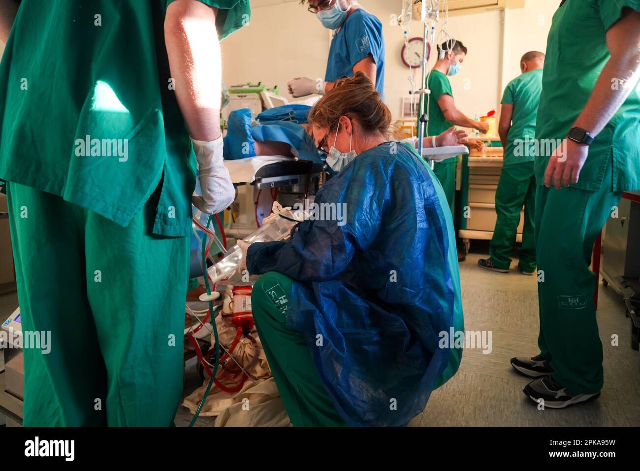 Training of medical interns in the ECMO technique, Extracorporeal ...