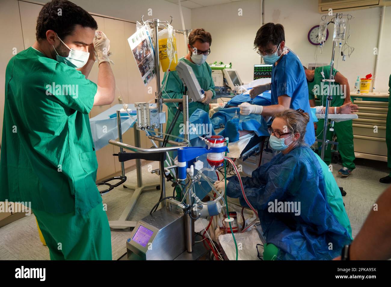 Training of medical interns in the ECMO technique, Extracorporeal ...