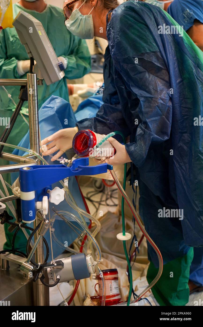 Training of medical interns in the ECMO technique, Extracorporeal ...