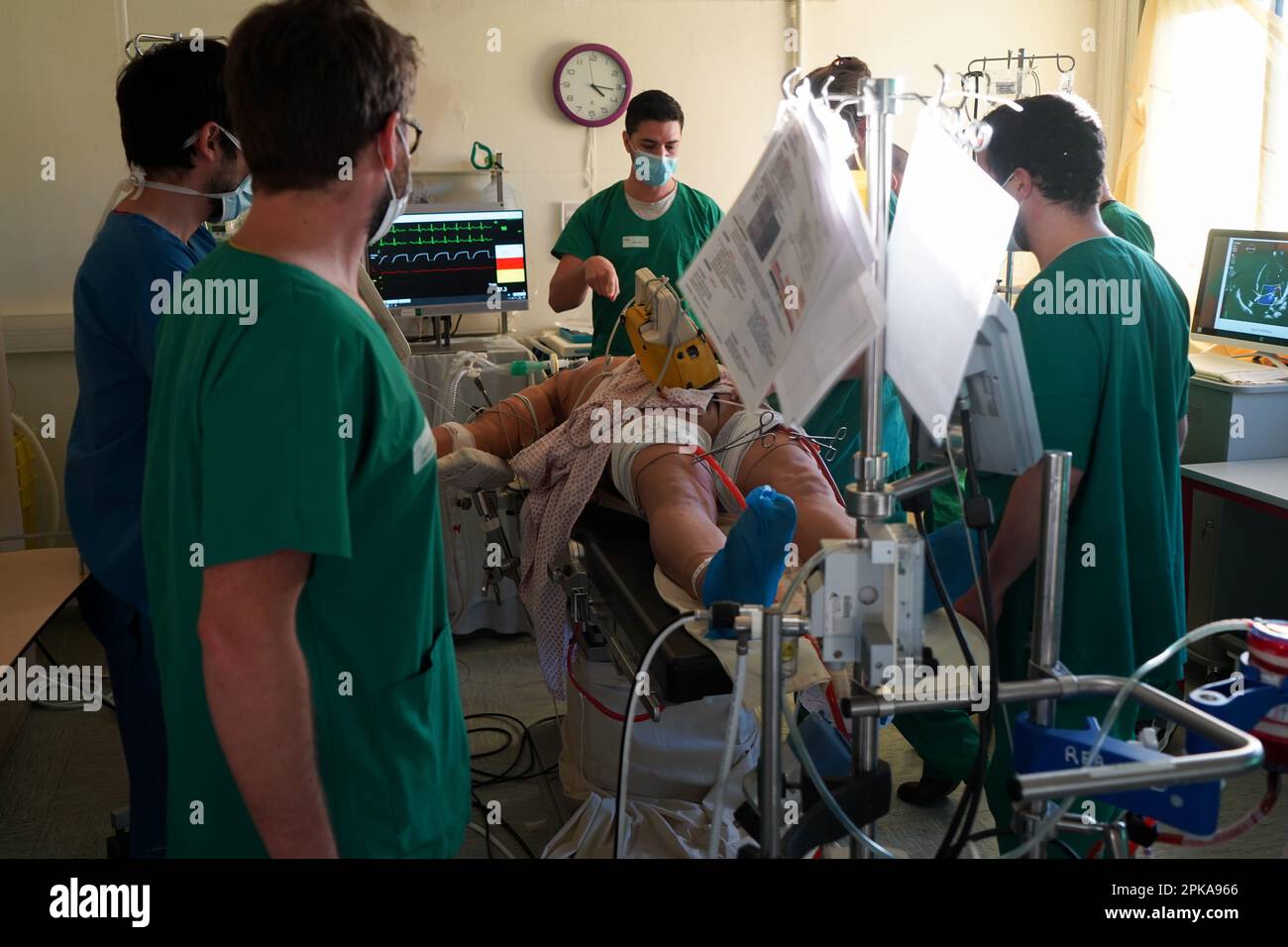 Training of medical interns in the ECMO technique, Extracorporeal ...