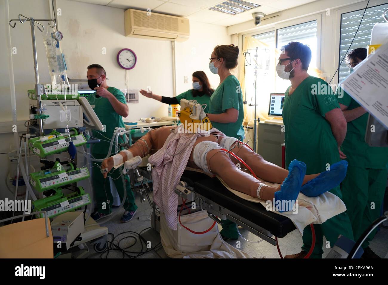Training of medical interns in the ECMO technique, Extracorporeal ...