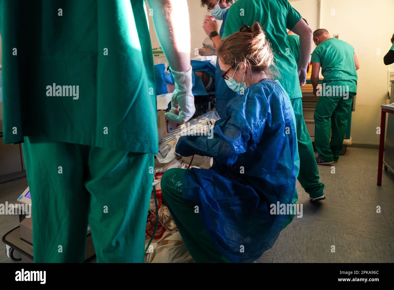 Training of medical interns in the ECMO technique, Extracorporeal ...