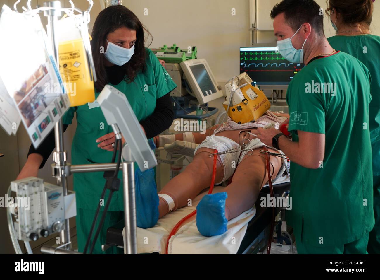 Training of medical interns in the ECMO technique, Extracorporeal ...
