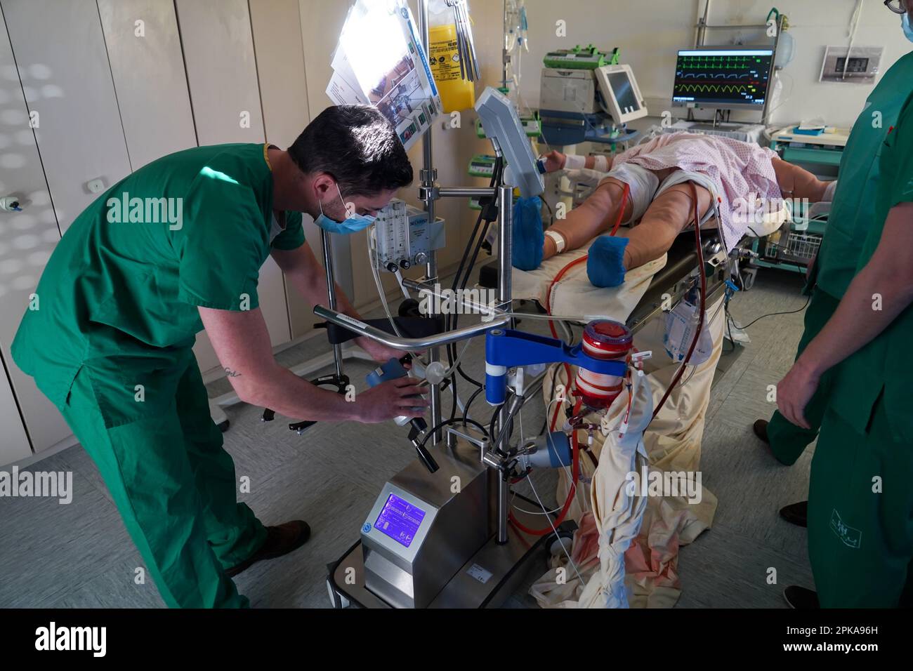 Portable Ecmo Adult Machine