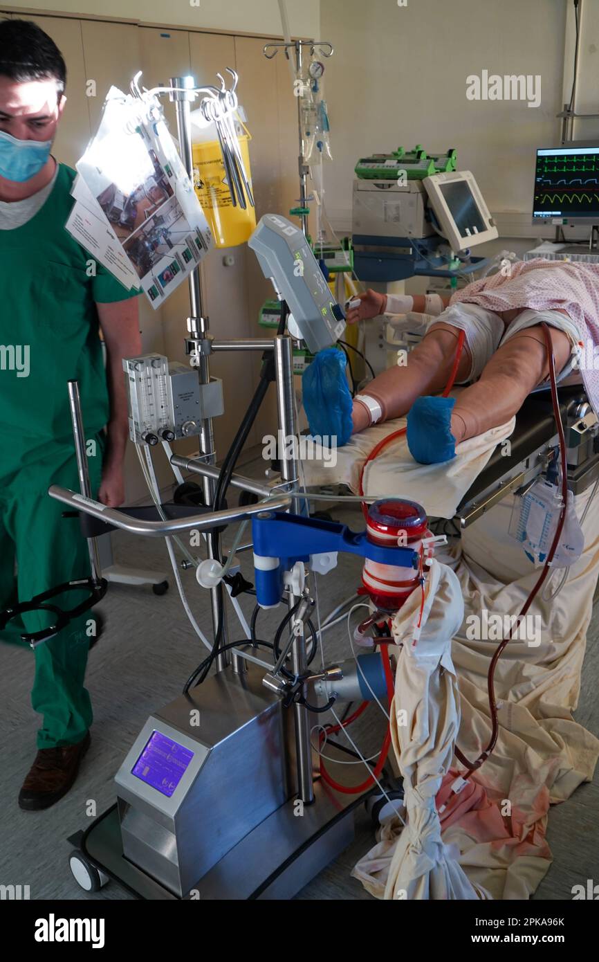 Training of medical interns in the ECMO technique, Extracorporeal ...