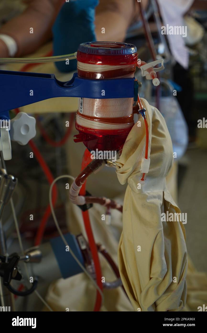 Training of medical interns in the ECMO technique, Extracorporeal ...