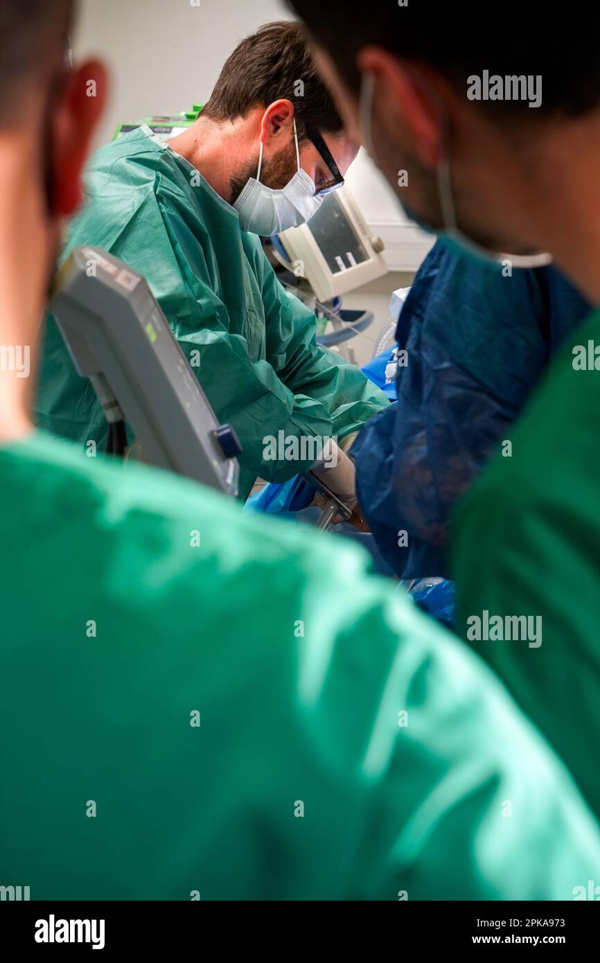 Training of medical interns in the ECMO technique, Extracorporeal ...