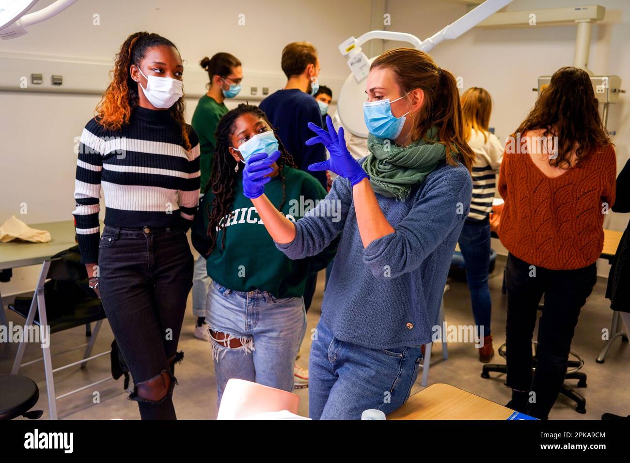 5th year medical students during a gynecology workshop. Gynecologist ...