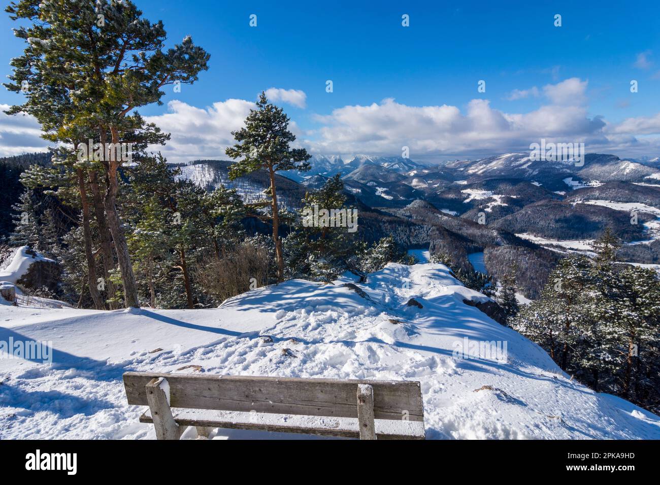Bench in the vienna alps hi-res stock photography and images - Alamy