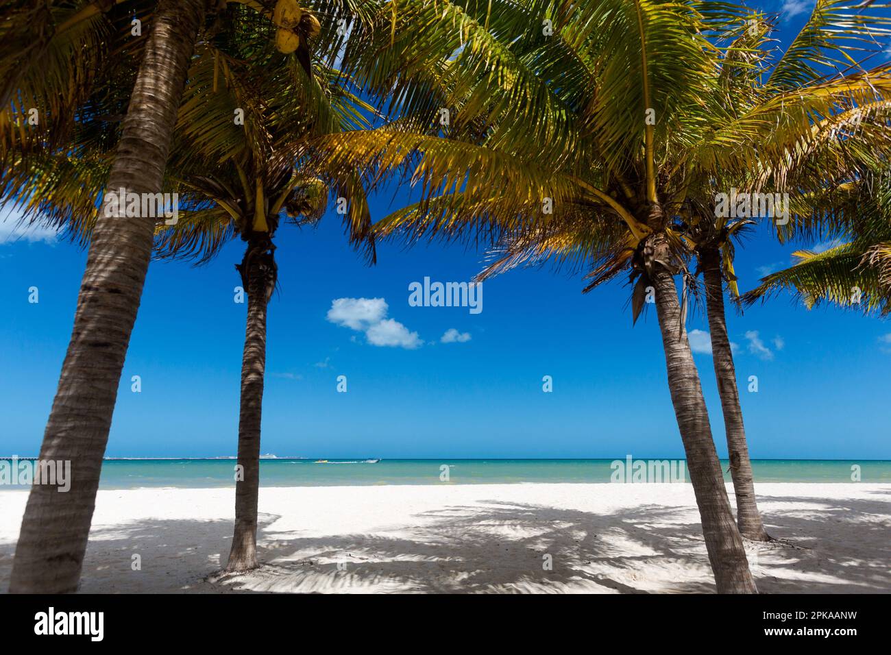 Beautiful Progreso beach in Mexico during sunny day. White beach with ...