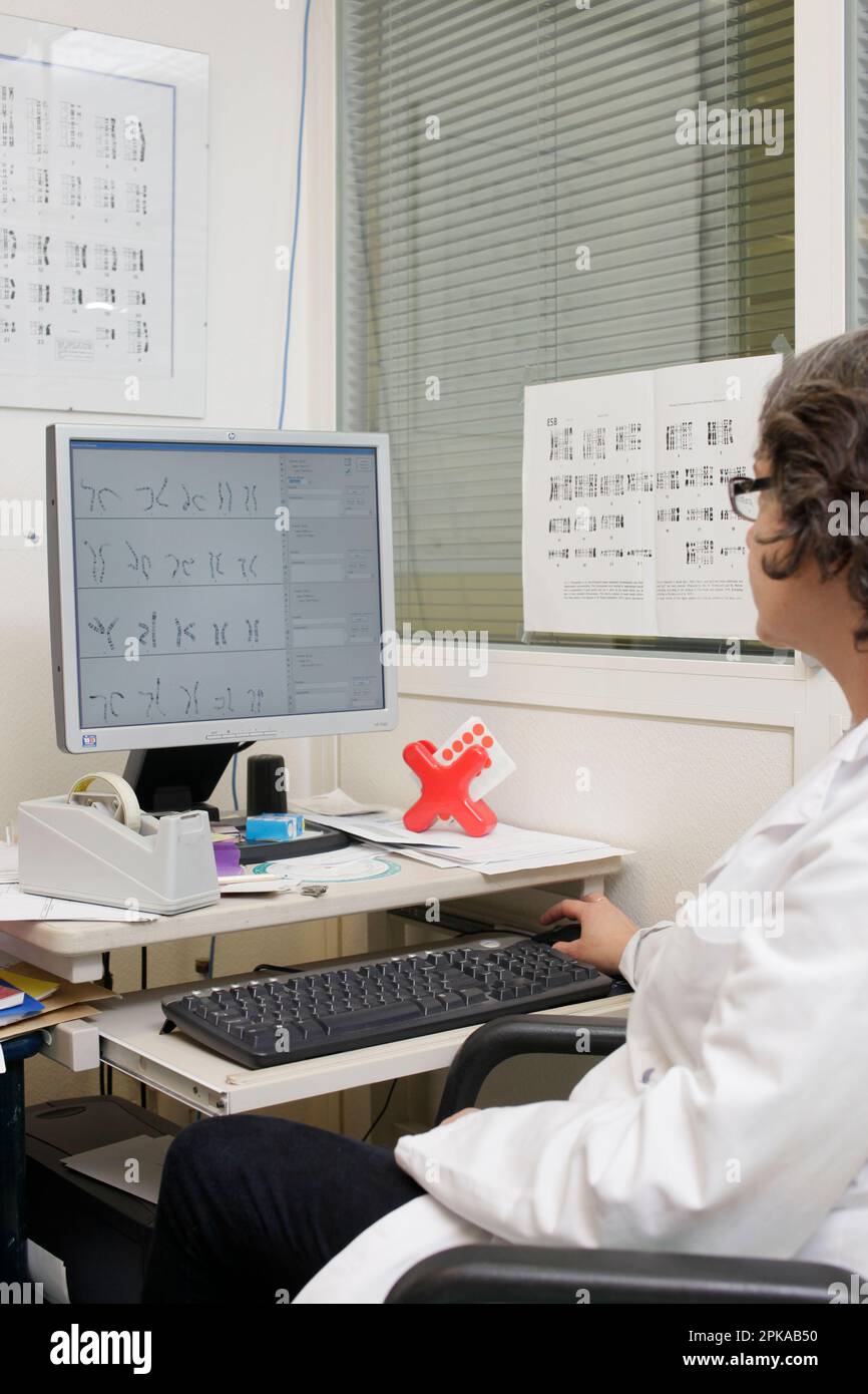 Cytogenetics laboratory, surrounded by karyotypes, a doctor analyzes ...