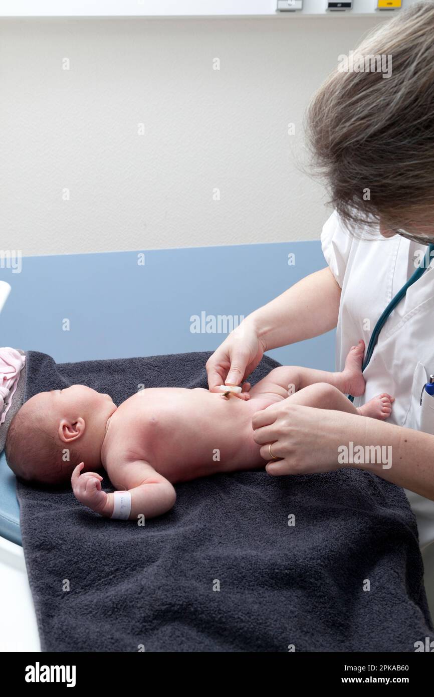 The pediatrician checks the condition of the umbilical cord Stock Photo ...