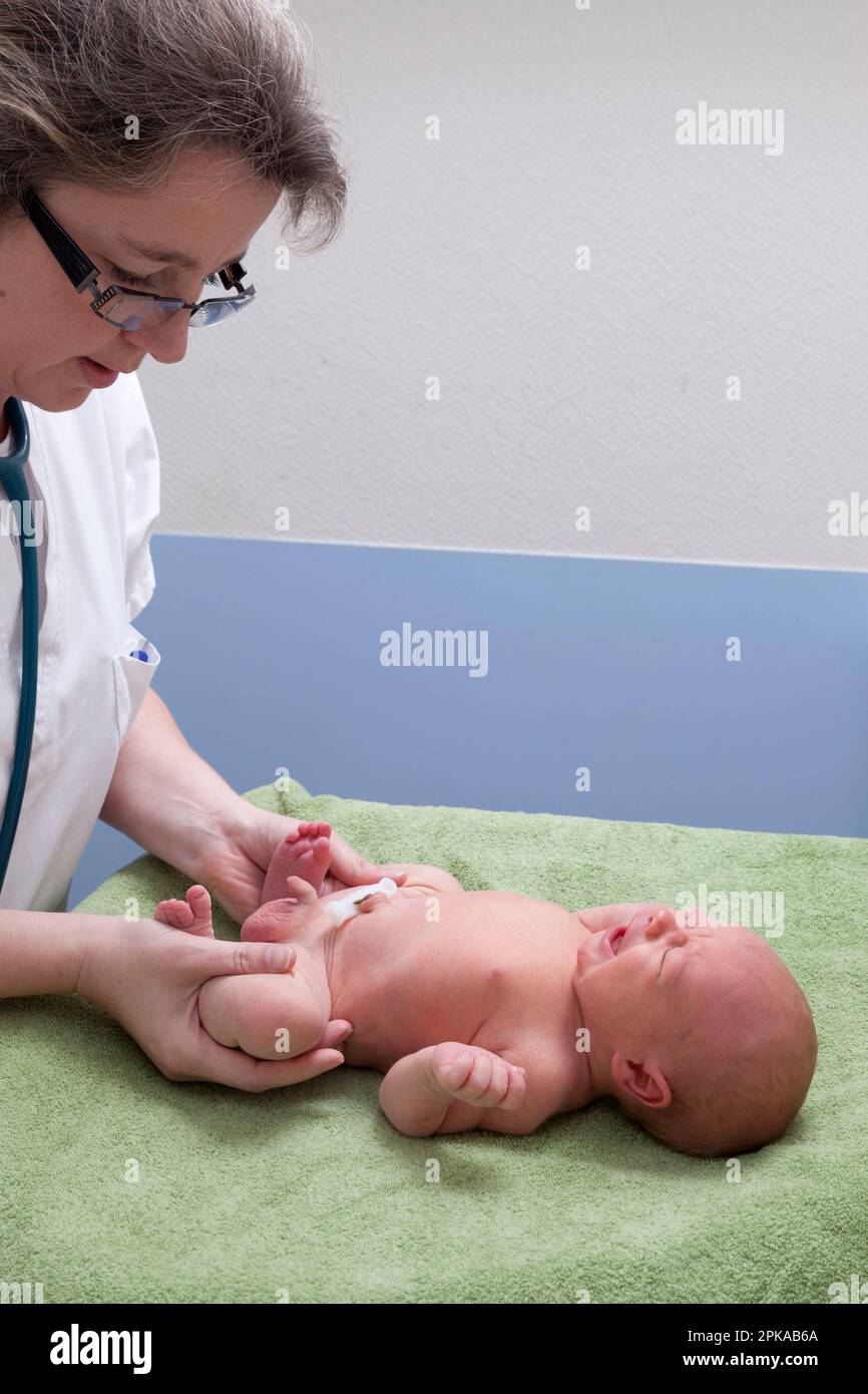 Examination of the hips makes it possible to verify that there is no ...