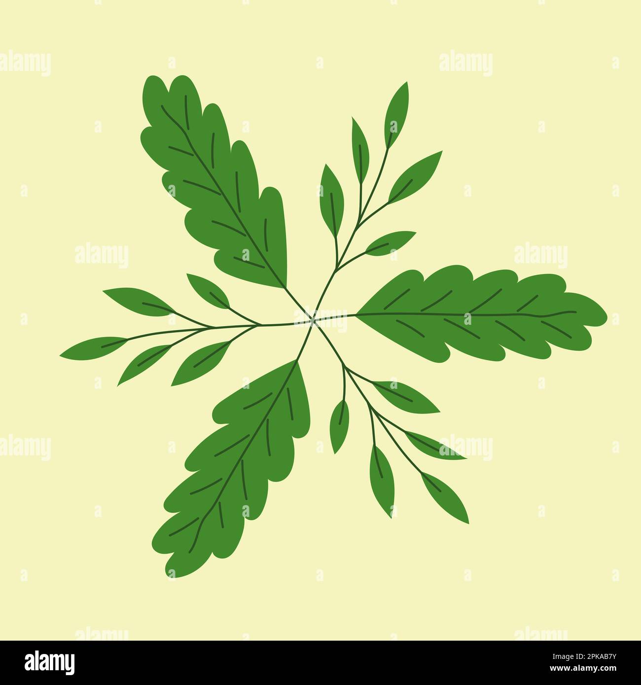Minimal floral mandala with simple green leaves on white background and ...