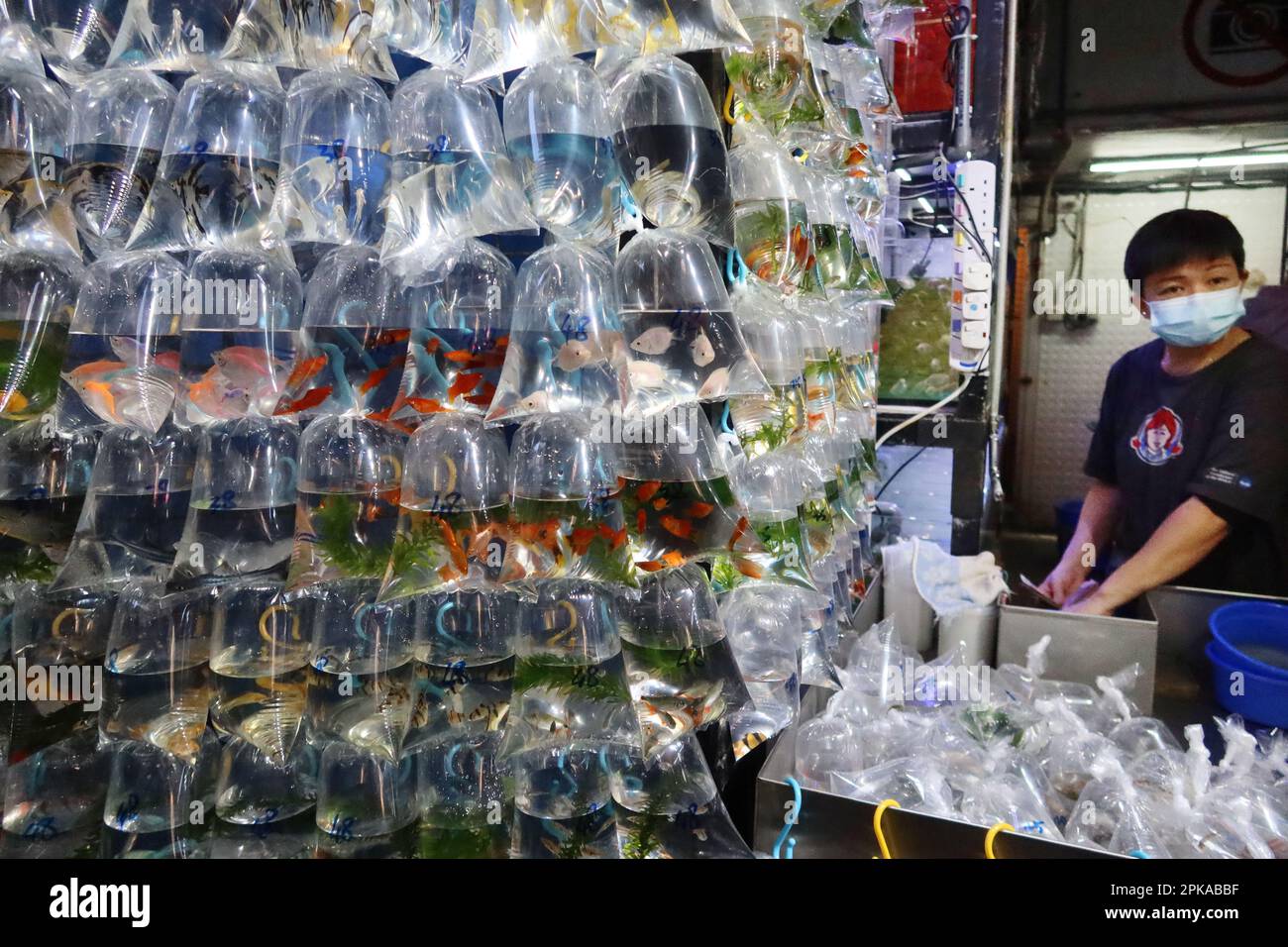Fish wrapped in plastic hi-res stock photography and images - Alamy