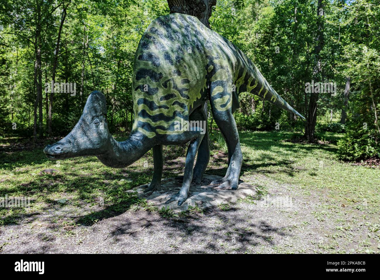 Prehistoric World in Eastern Ontario, Canada, is a multi-acre outdoor ...