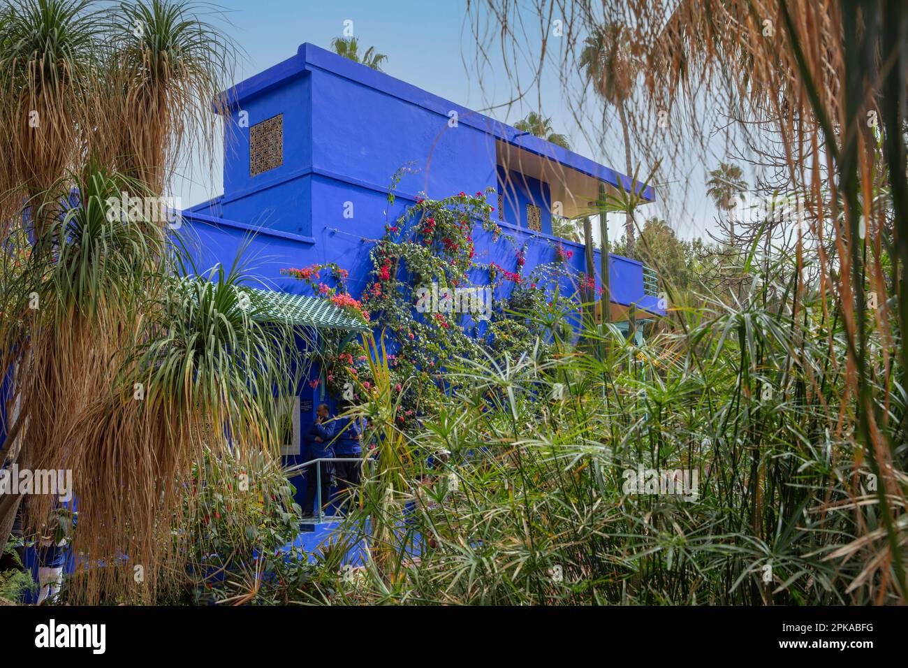 Morocco, Marrakech, Jardin Majorelle, Yves Saint Laurent garden Stock ...