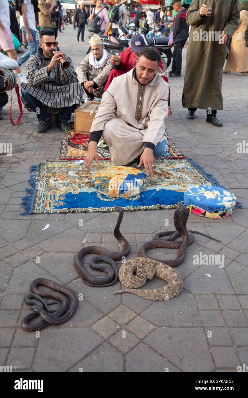 Morocco, Marrakech, Djemaa el-Fna, square, snake charmer, cobras Stock ...