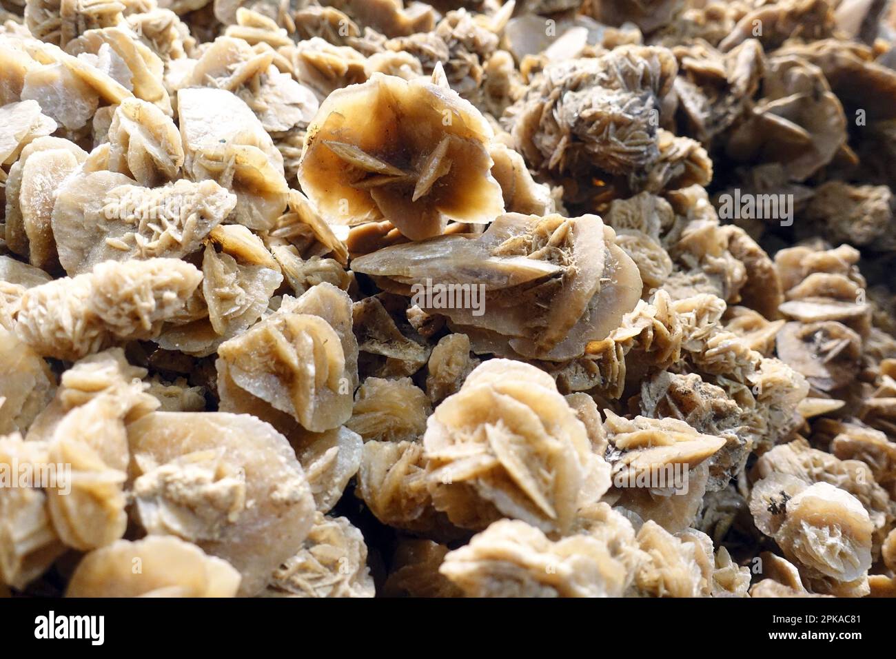 Sandkoerper hi-res stock photography and images - Alamy