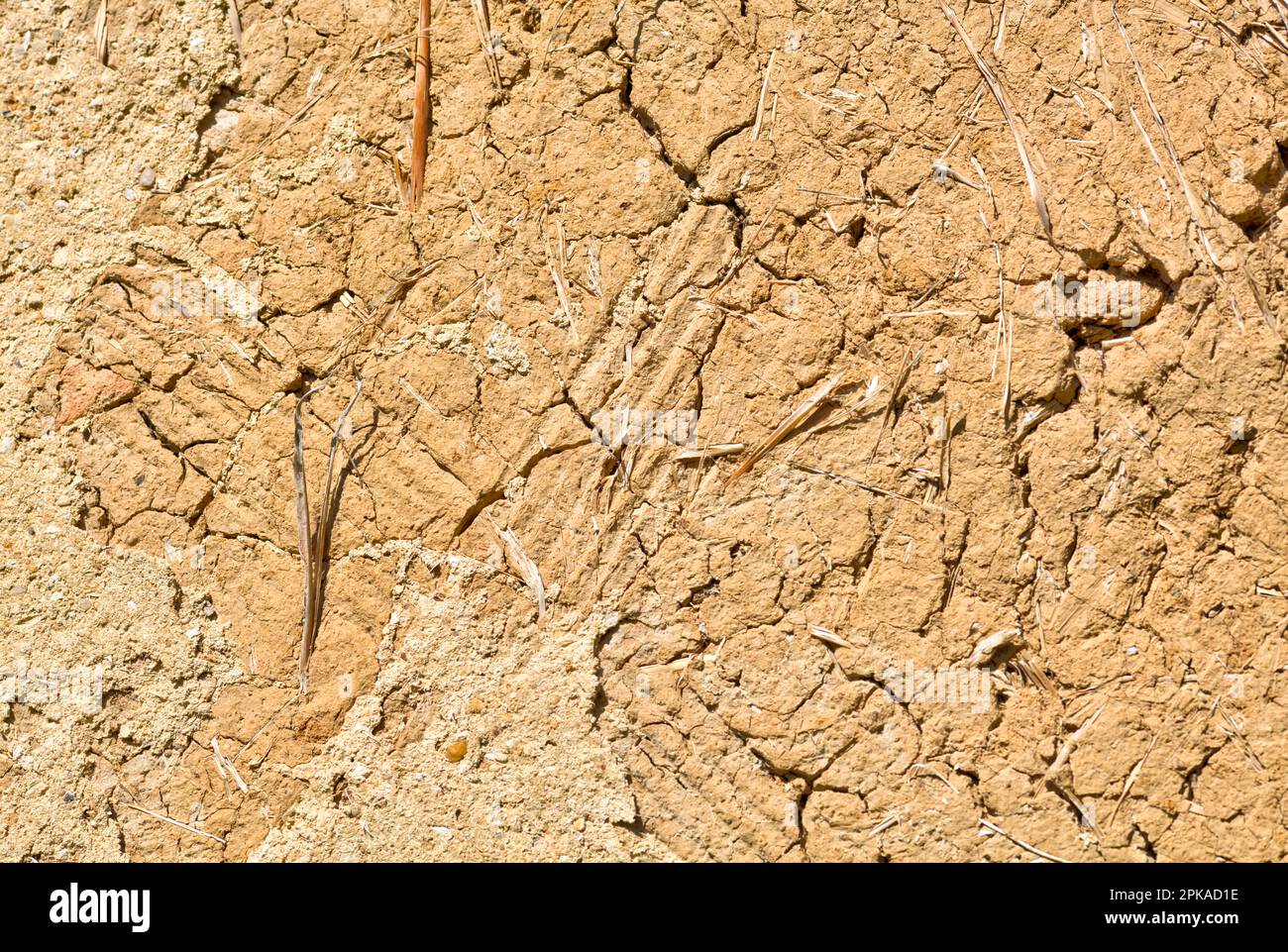 Clay wall, weathered, texture, background, half-timbered, architecture ...