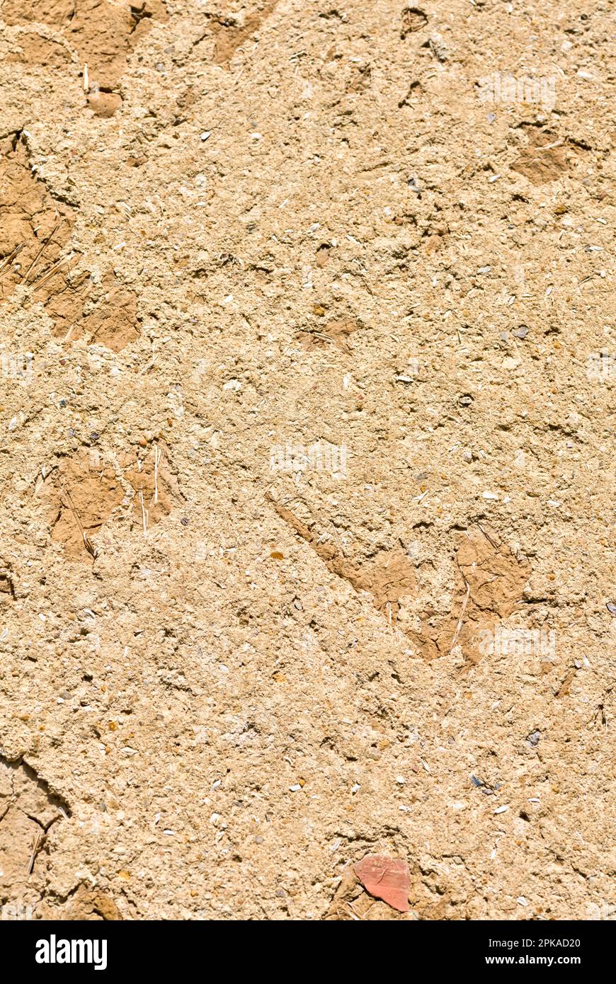 Clay wall, weathered, texture, background, half-timbered, architecture ...