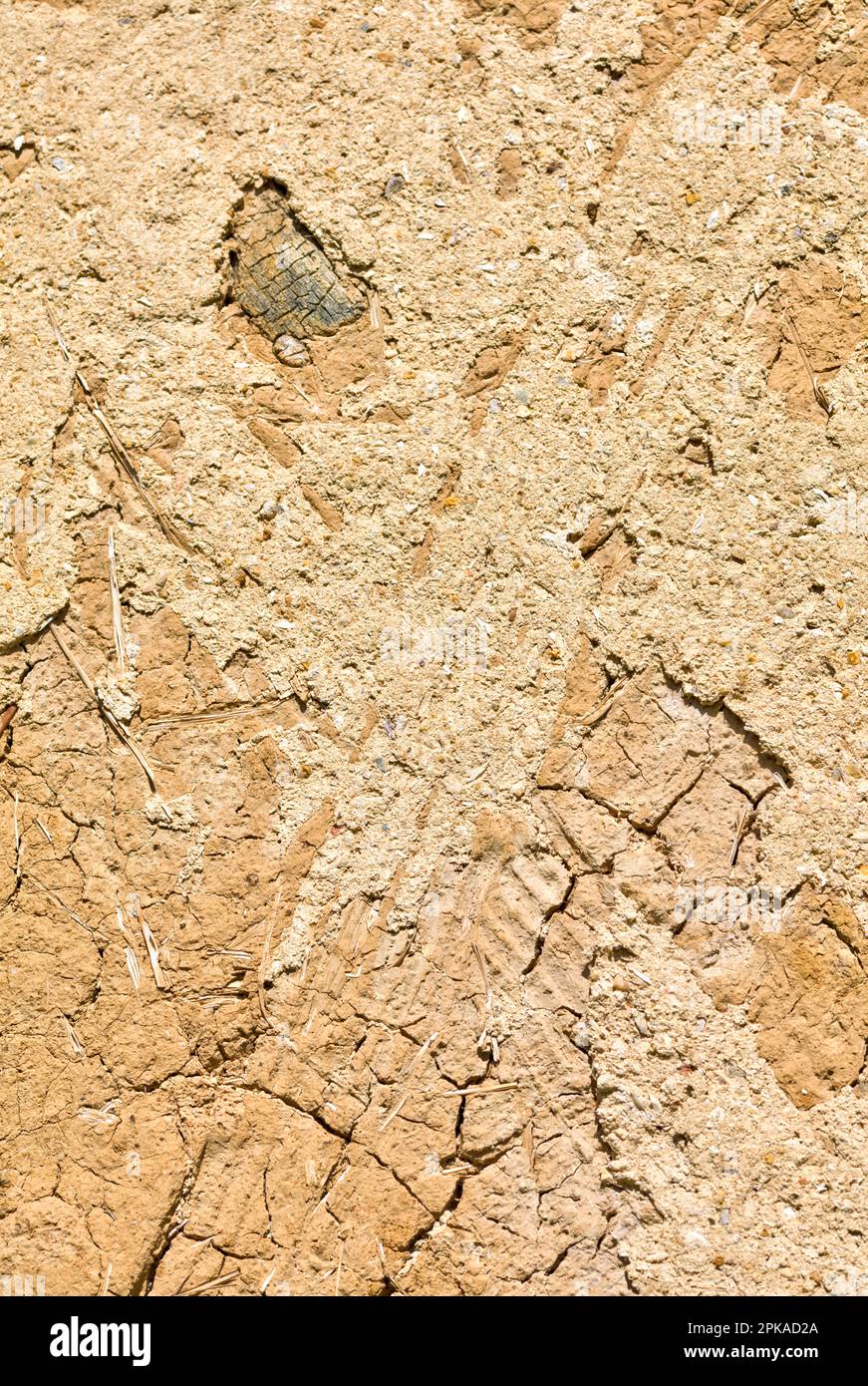 Clay wall, weathered, texture, background, half-timbered, architecture ...