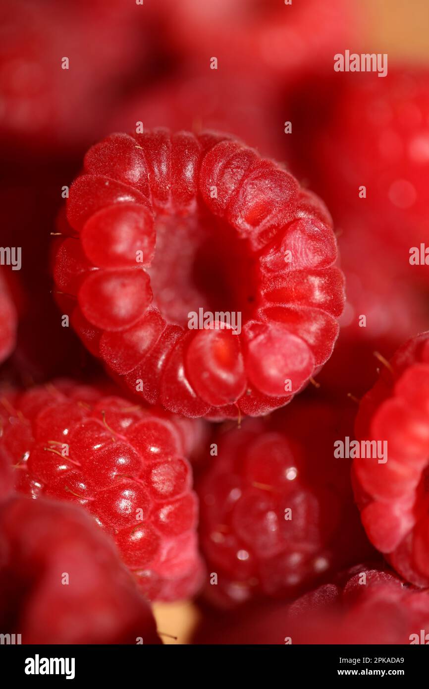 Raspberry fruits prints hi-res stock photography and images - Alamy
