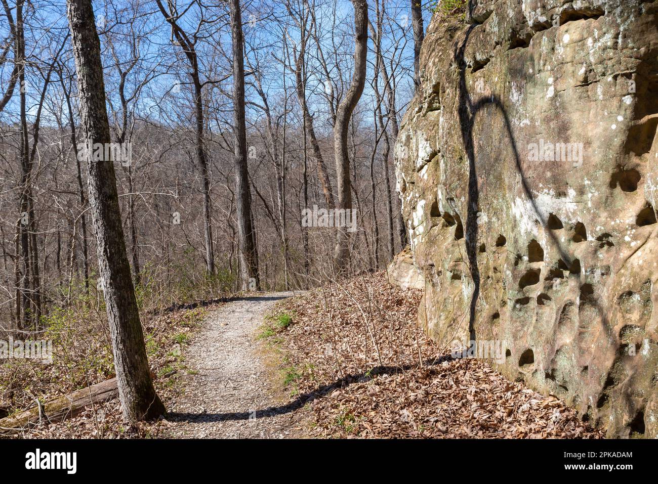 Trails and bluffs on the Indian Creek Nature Trail. Giant City state ...