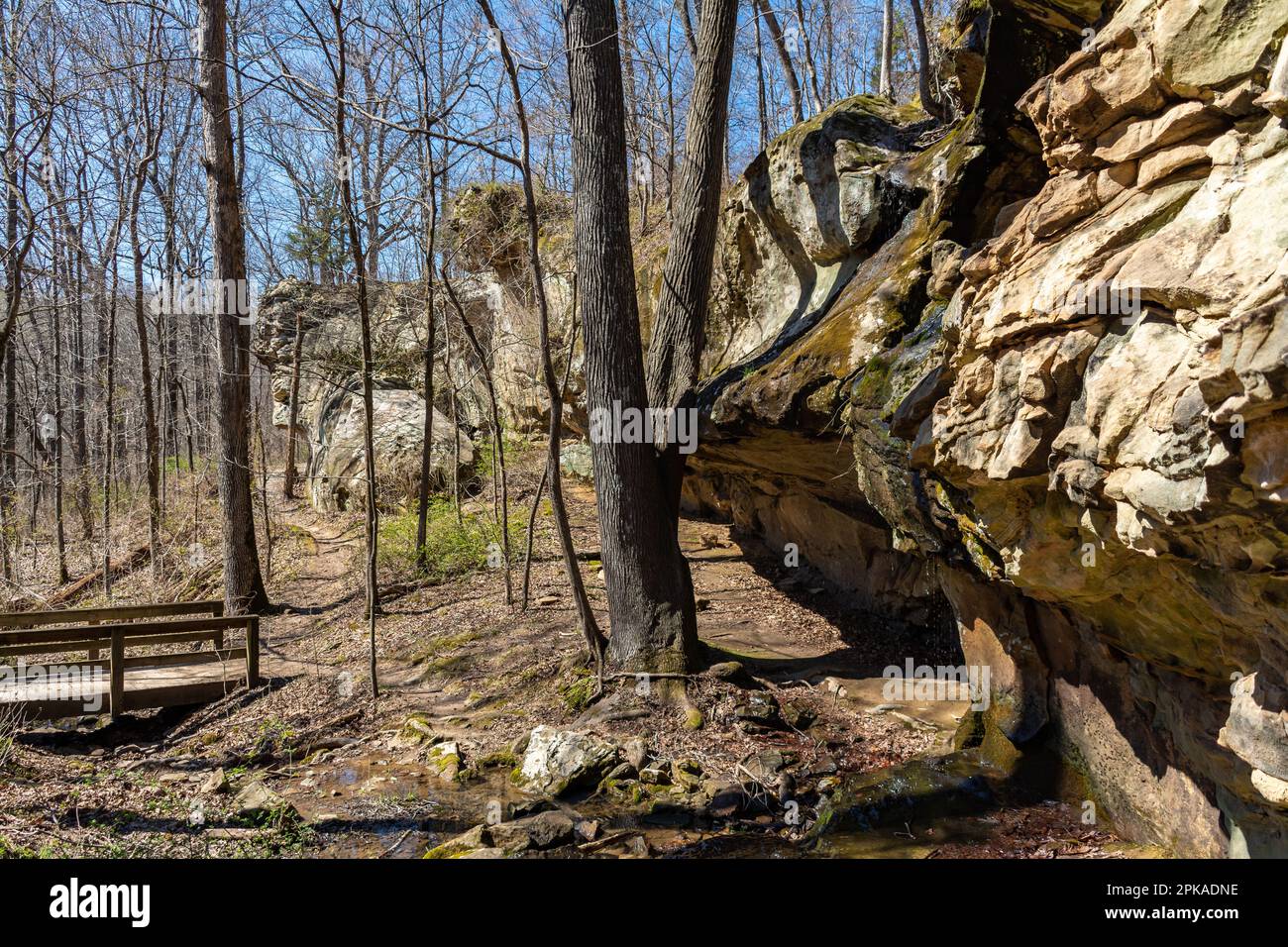 Trails and bluffs on the Indian Creek Nature Trail. Giant City state ...