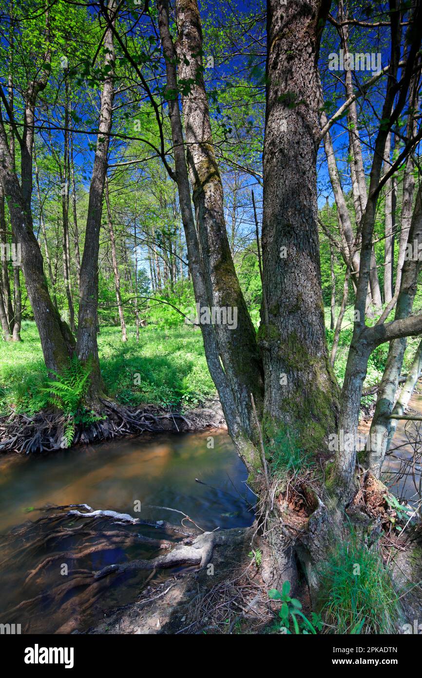 Schmalwassertal hi-res stock photography and images - Alamy