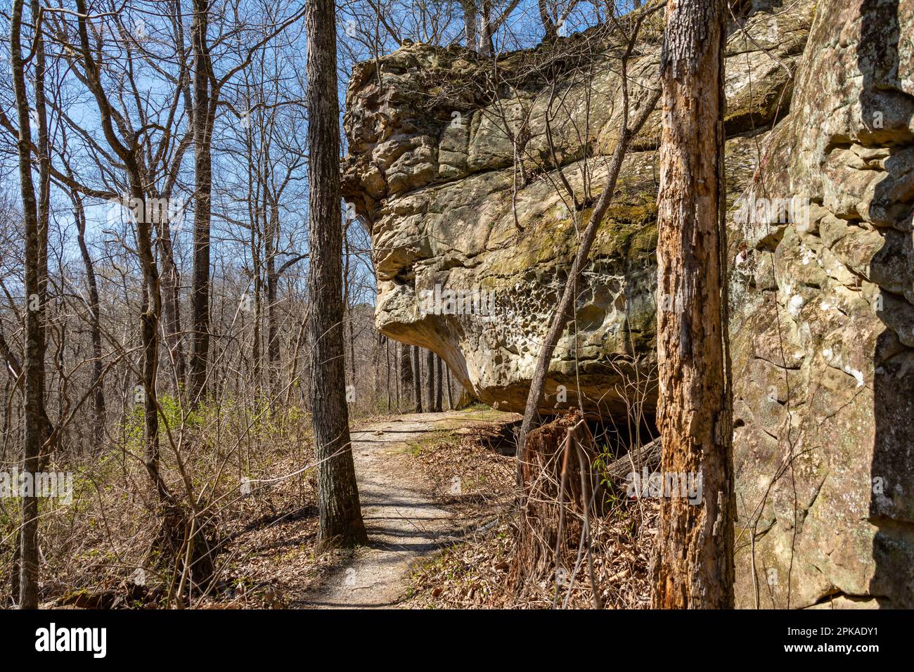 Trails and bluffs on the Indian Creek Nature Trail. Giant City state ...