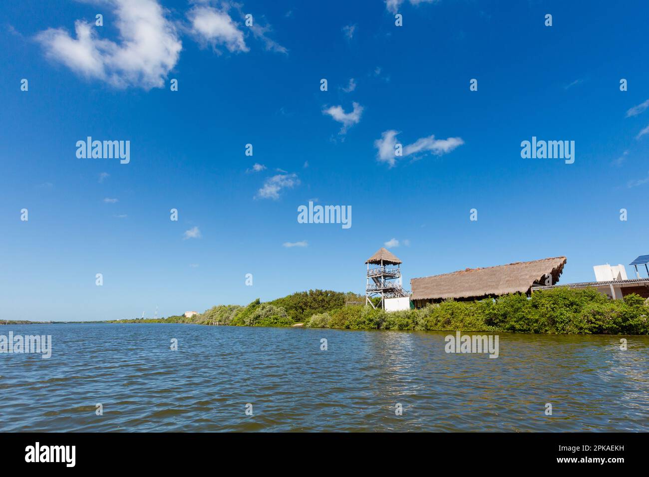 Beautiful El Corchito Ecological Reserve in Progreso, Mexico during ...