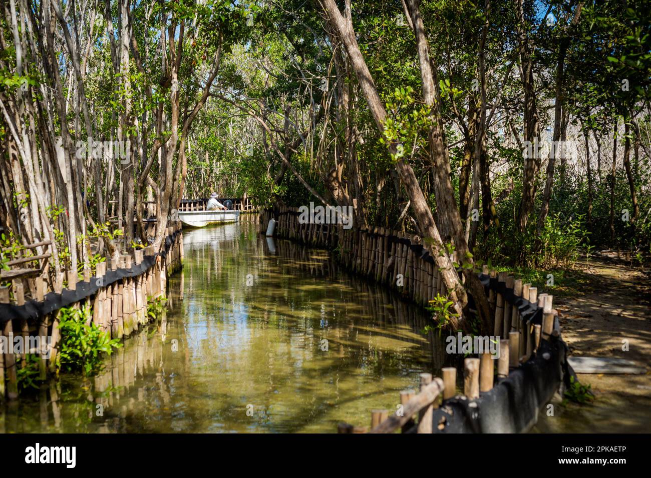 Beautiful El Corchito Ecological Reserve in Progreso, Mexico during ...