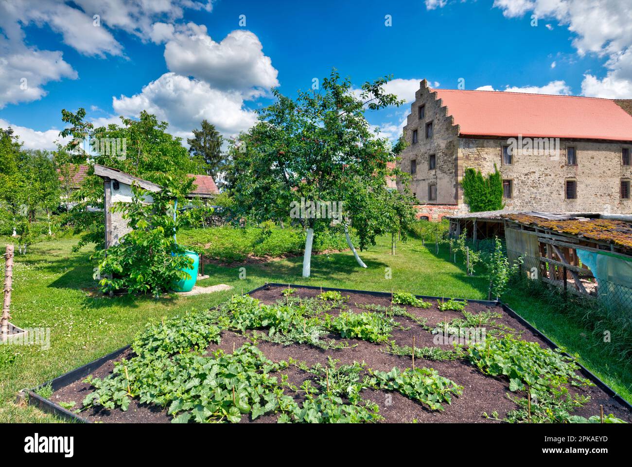 View of castle, house facade, architecture, garden, summer, Ebenhausen ...