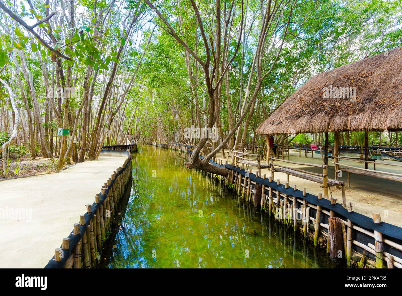 Beautiful El Corchito Ecological Reserve in Progreso, Mexico during ...