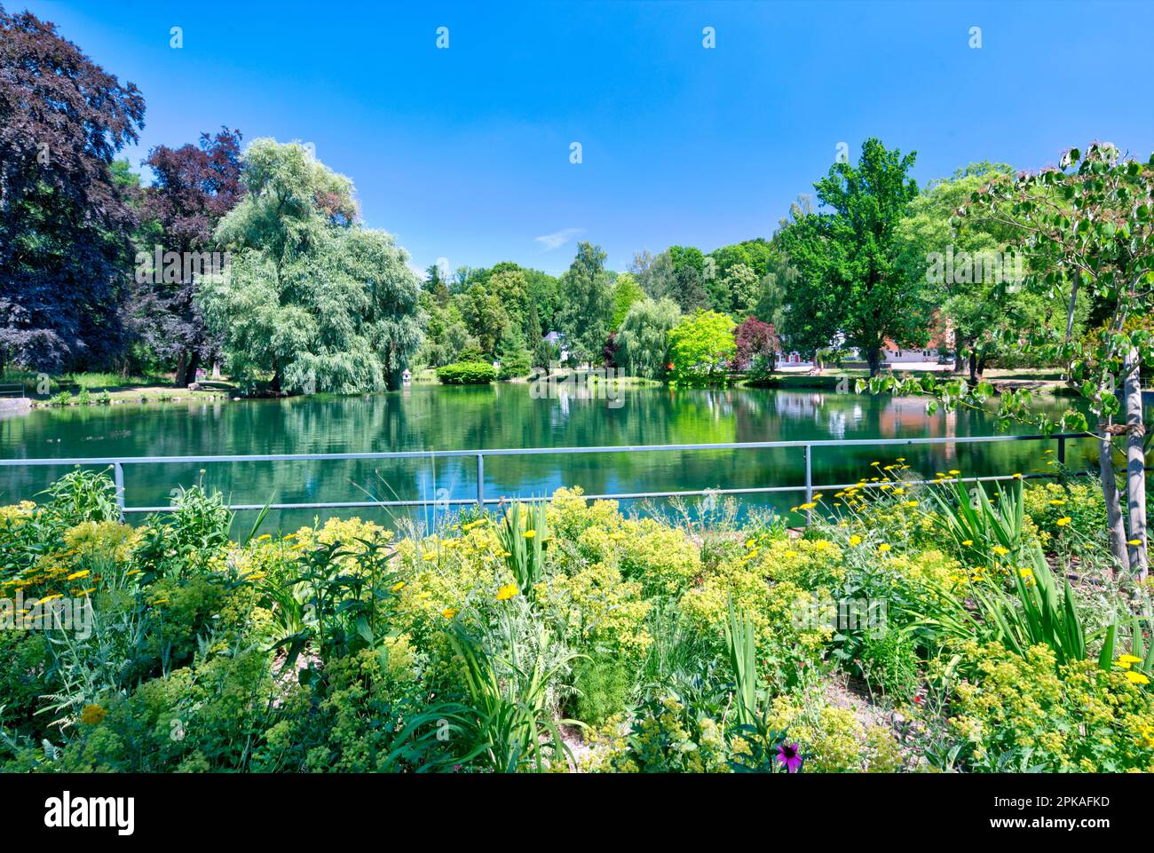 Elisabethpark, park, lake, pond, village view, summer, Bad Liebenstein ...