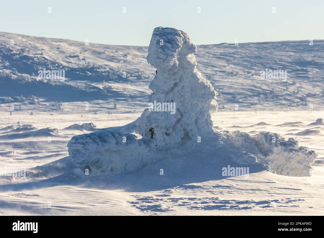 Europe, Poland, Lower Silesia, Giant Mountains Stock Photo - Alamy