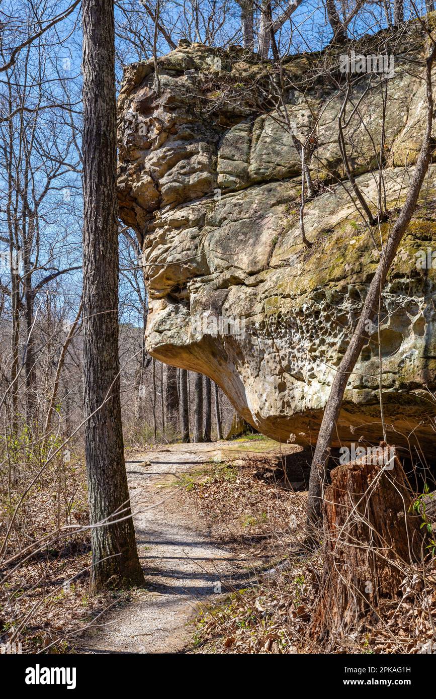 Trails and bluffs on the Indian Creek Nature Trail. Giant City state ...