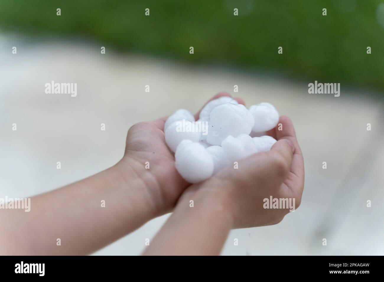 Children's hands hold hailstones after a storm in Garmisch ...