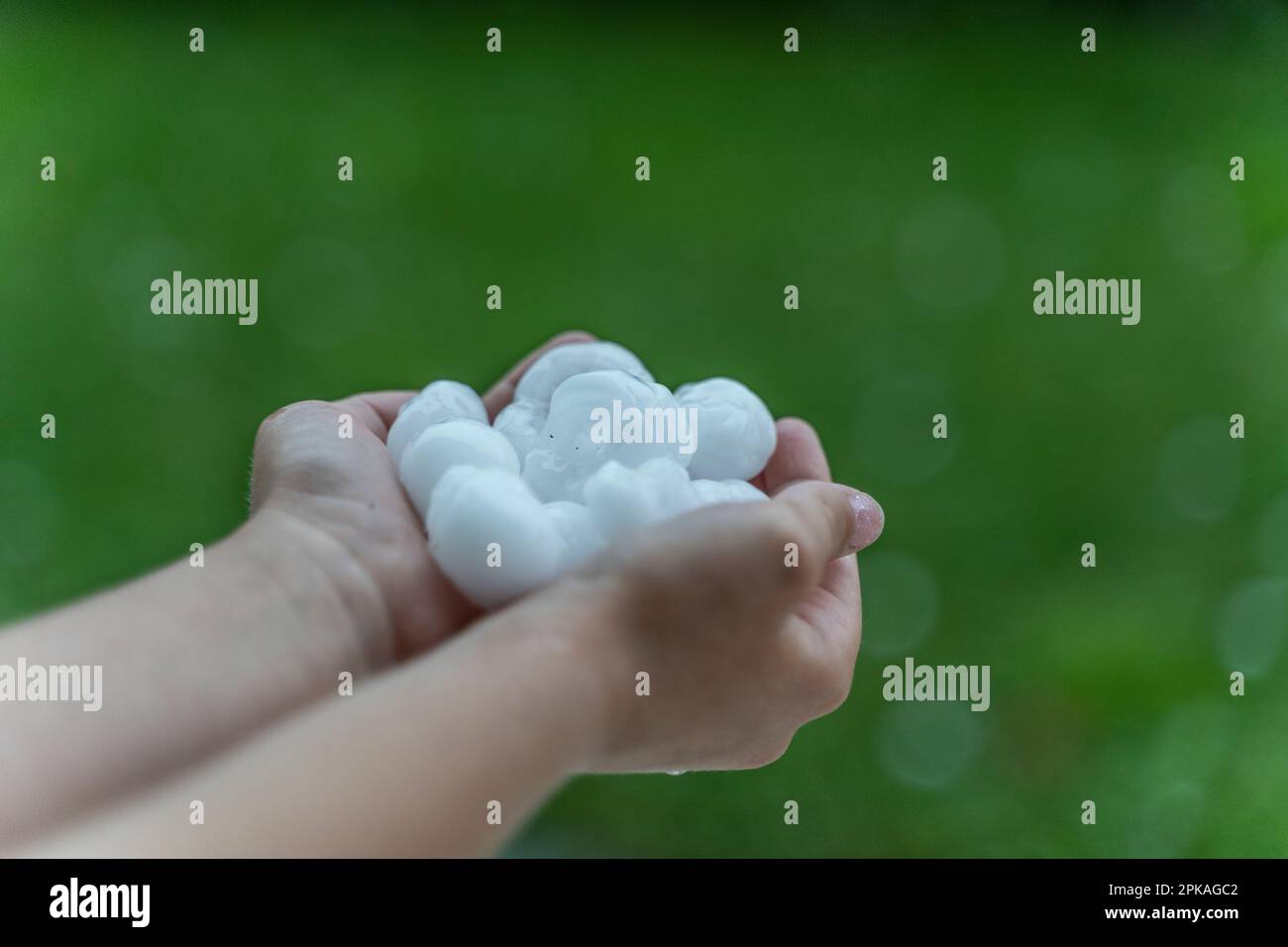 Children's hands hold hailstones after a storm in Garmisch ...