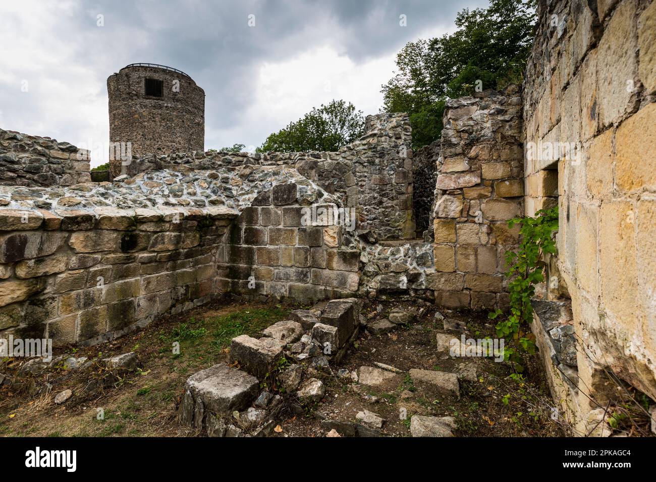 Zamek wlen hi-res stock photography and images - Alamy
