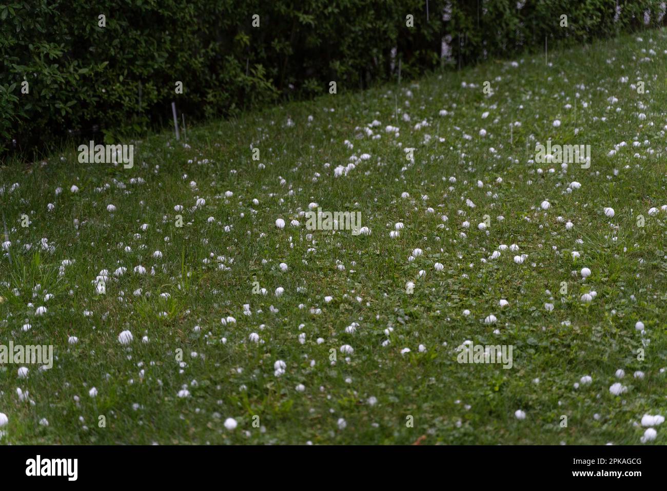 Hail during thunderstorm in Garmisch-Partenkirchen, Bavaria, Germany ...
