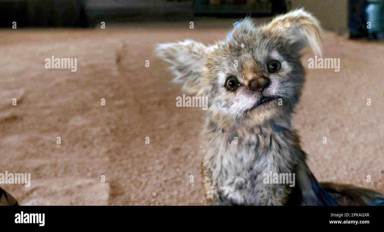 CHUPA, Chupa, 2023. © Netflix / Courtesy Everett Collection Stock Photo ...