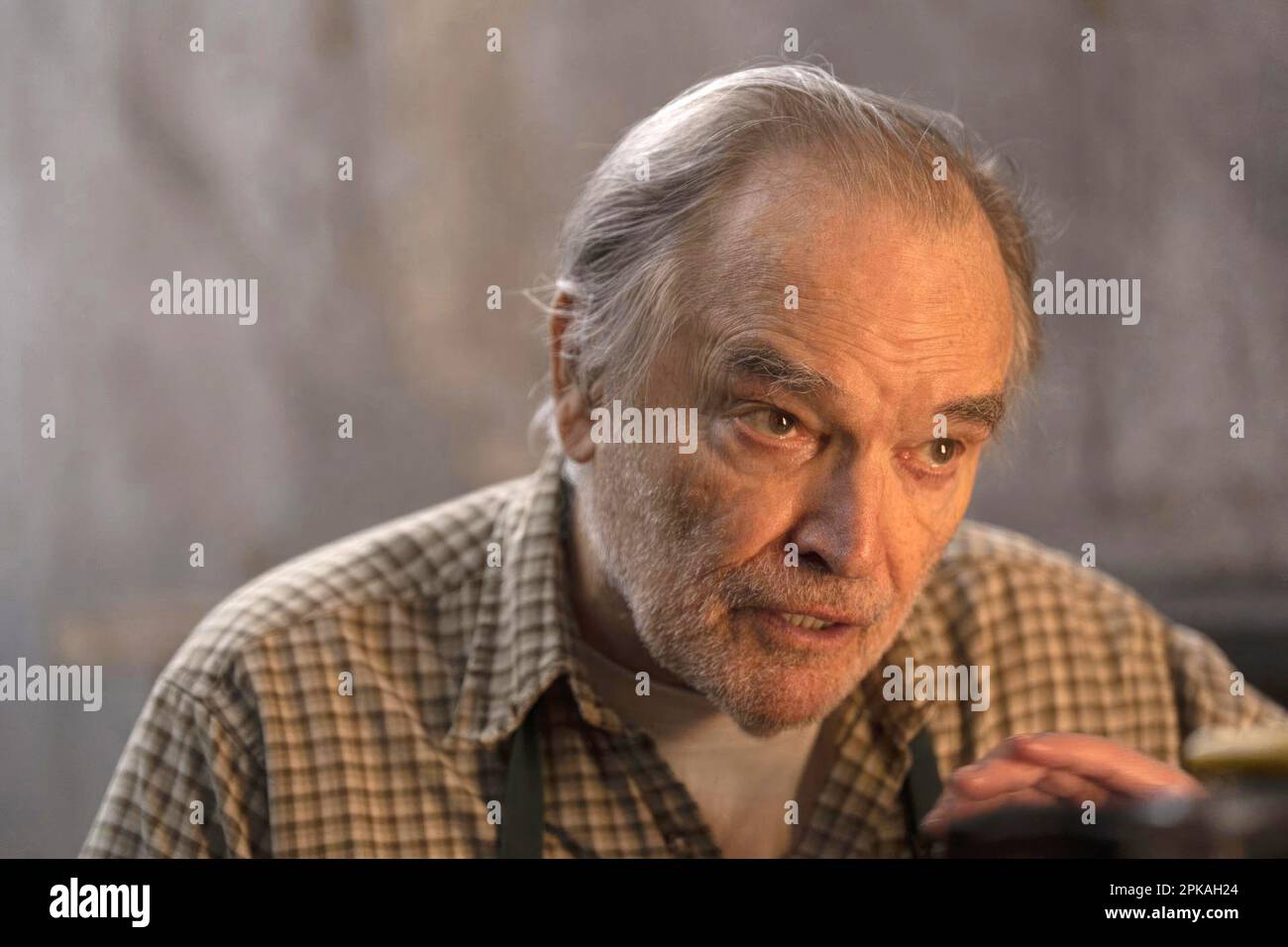 DOUBLE DOWN SOUTH, (aka SOUTHERN GOTHIC), Tom Bower, 2022. © Benacus ...