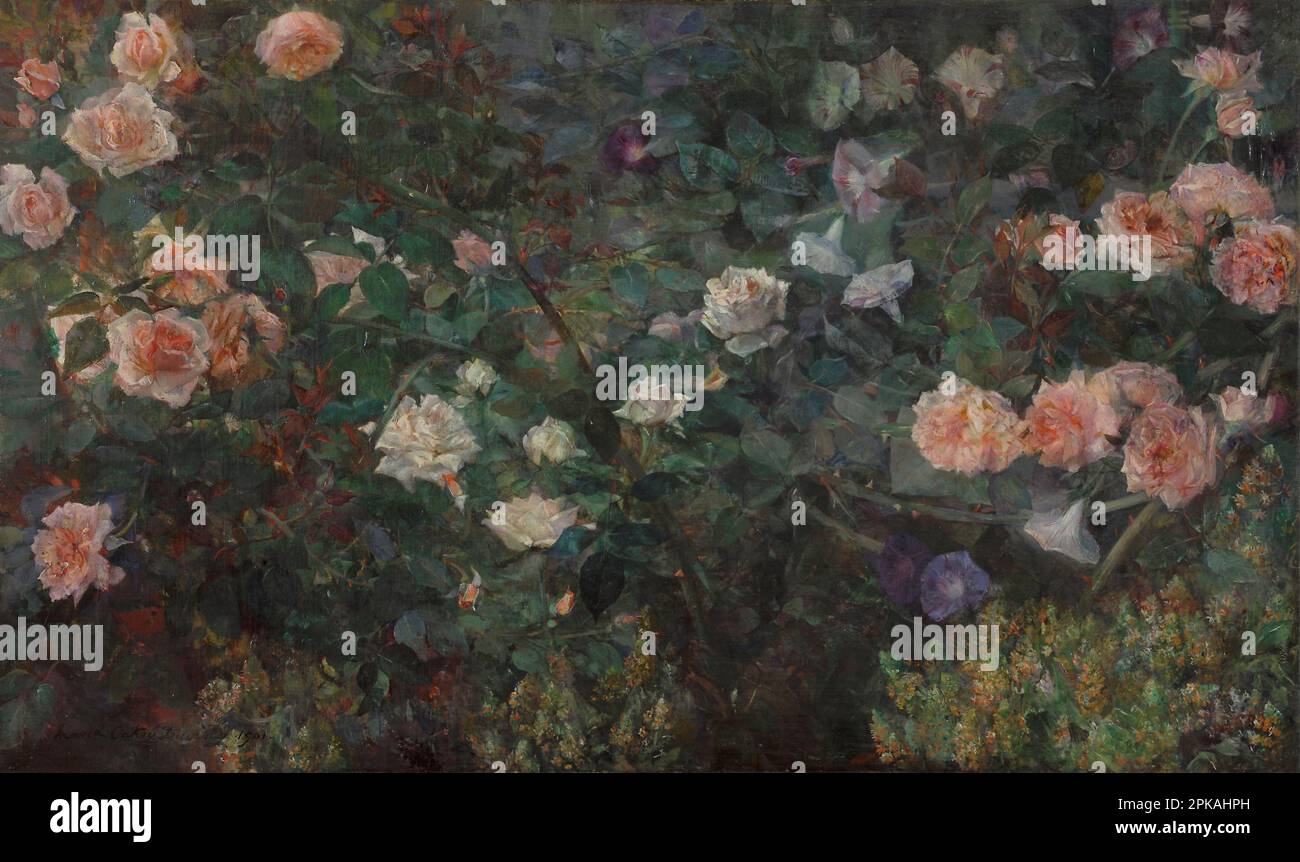 Oakey maria hi-res stock photography and images - Alamy