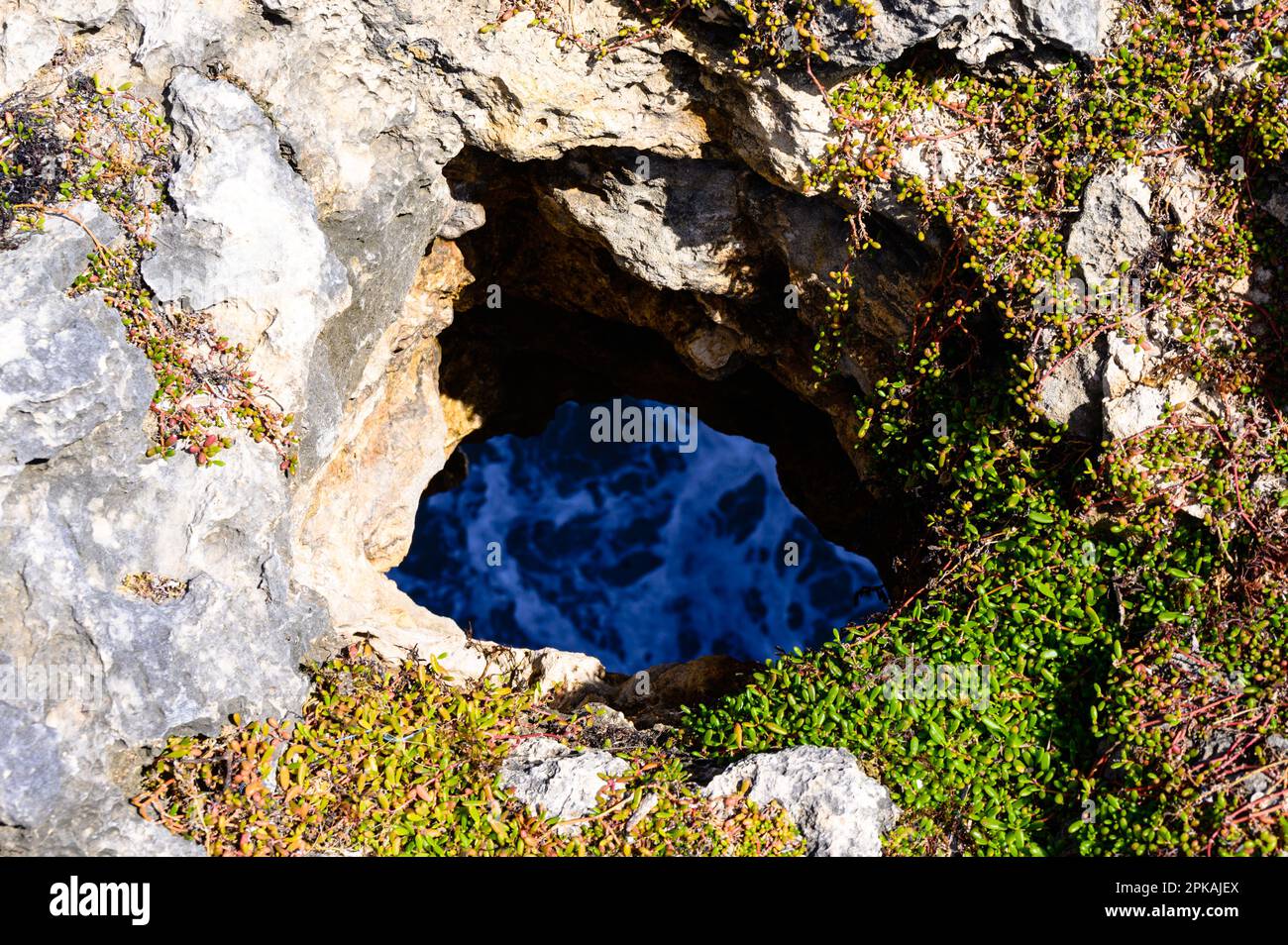 Barbados Ocean and rocks Next to Animal Flower Cave. Atlantic Ocean ...