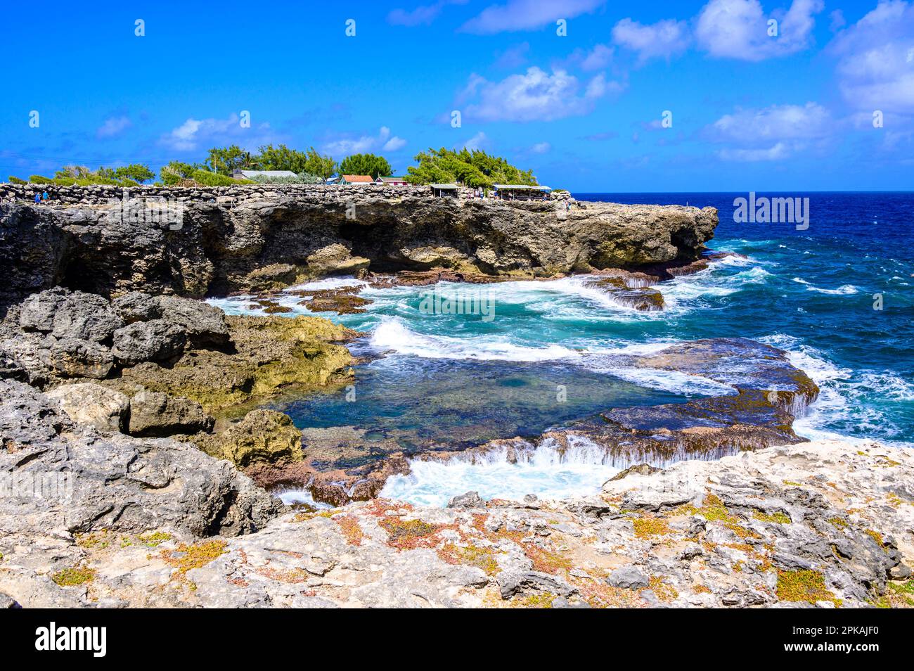 Barbados Ocean and rocks Next to Animal Flower Cave. Atlantic Ocean ...