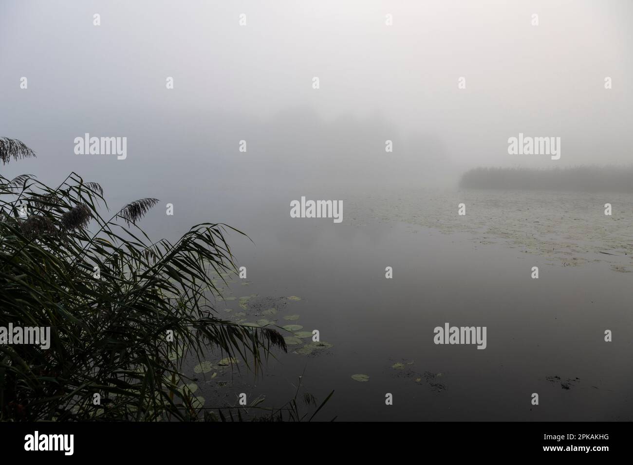 Europe, Poland, Lesser Poland, fish ponds near Zator Stock Photo - Alamy