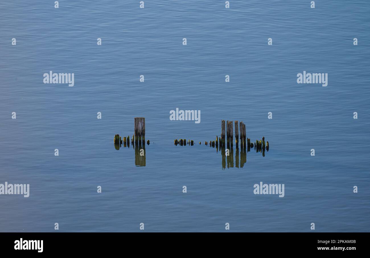 Old wooden polest sticking out of the water Stock Photo - Alamy