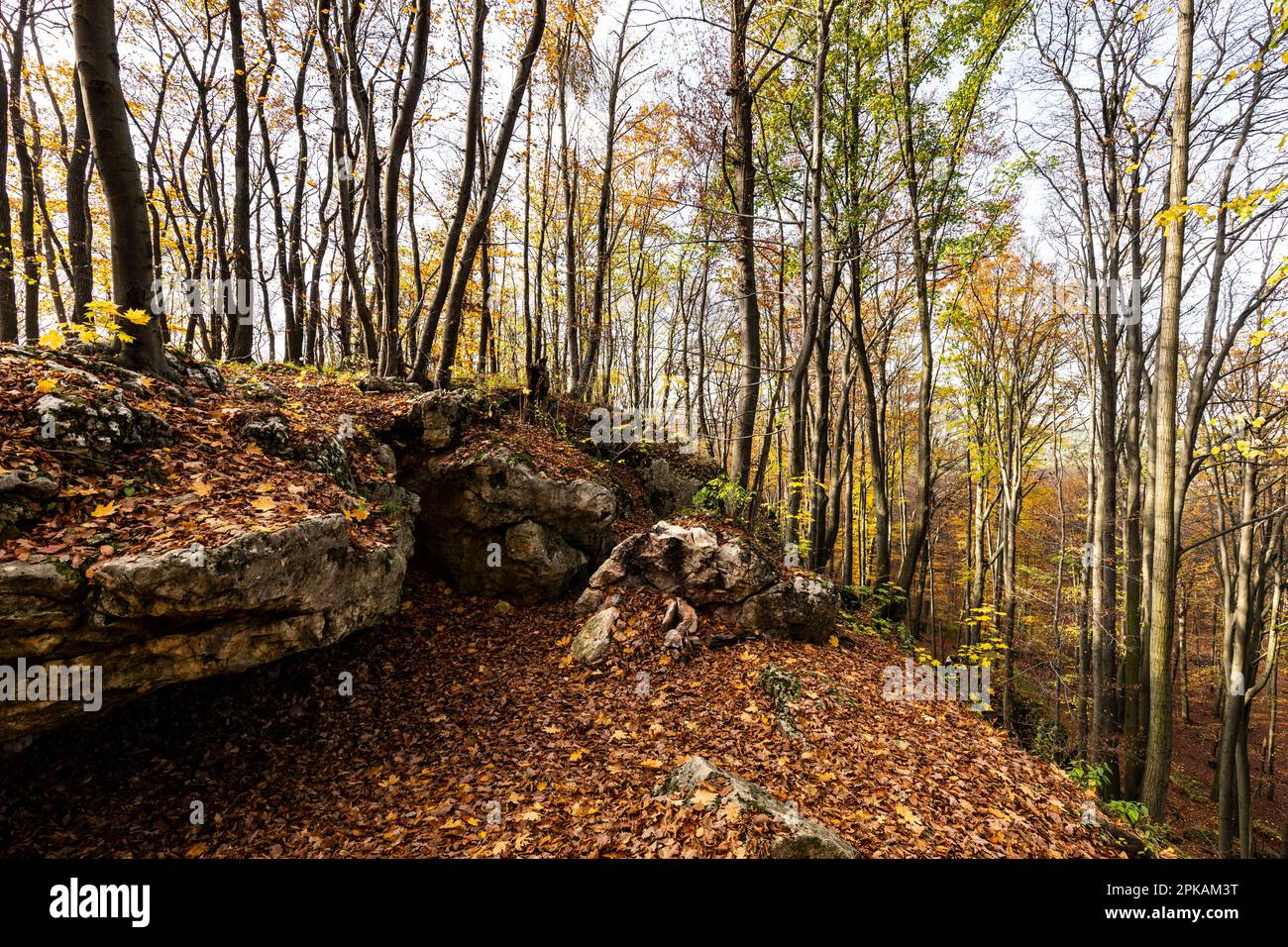 Europe, Poland, Silesia, Krakow-Czestochowa Upland / Polish Jurassic ...